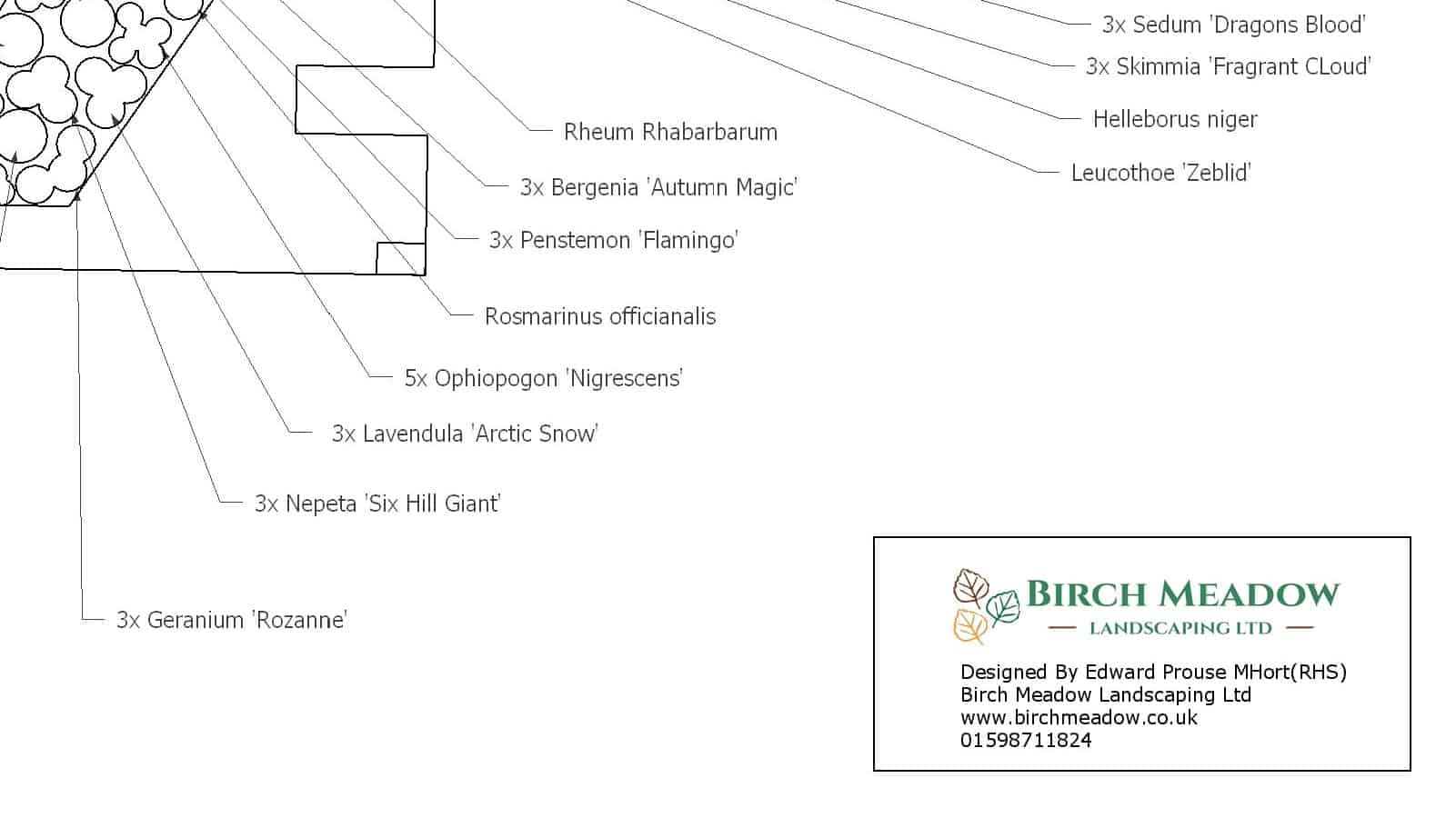 Planting Schemes North Devon – Birch Meadow Landscaping